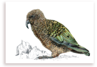 Large Prints – Emilie Geant