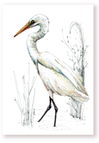 Large Prints – Emilie Geant