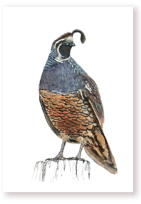 Large Prints – Emilie Geant